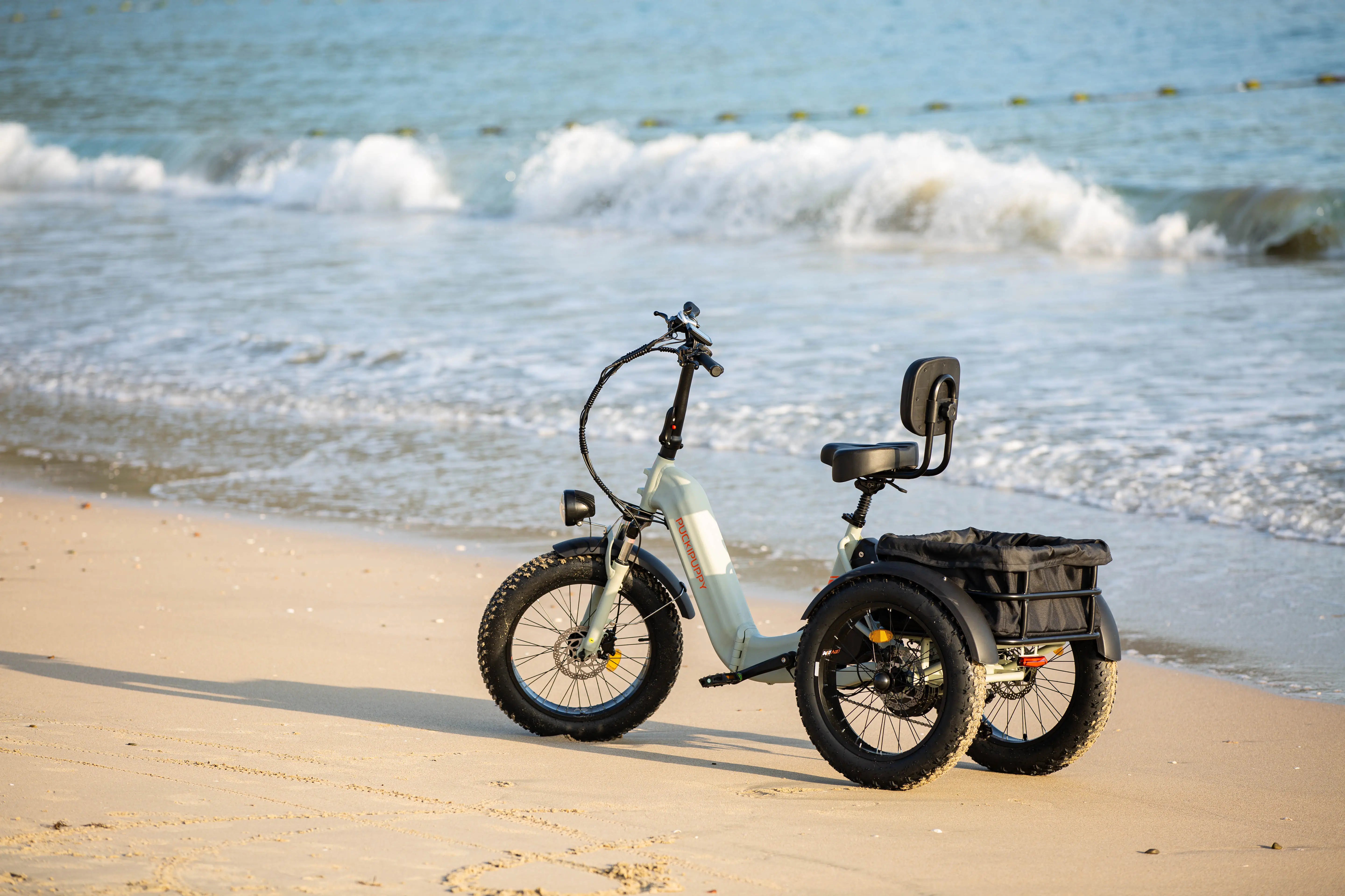 John's Quest for the Best Foldable Electric Trike: Puckipuppy Husky VS