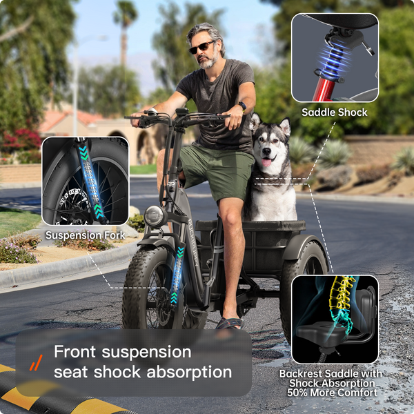 Husky Plus| Best 3 Wheel Electric Bike For Adults & Seniors