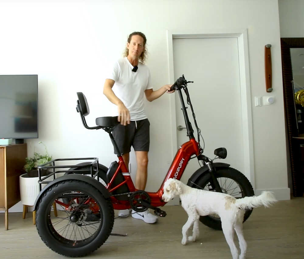Husky| Folding Electric Trike For Adults| PUCKIPUPPY Ebikes