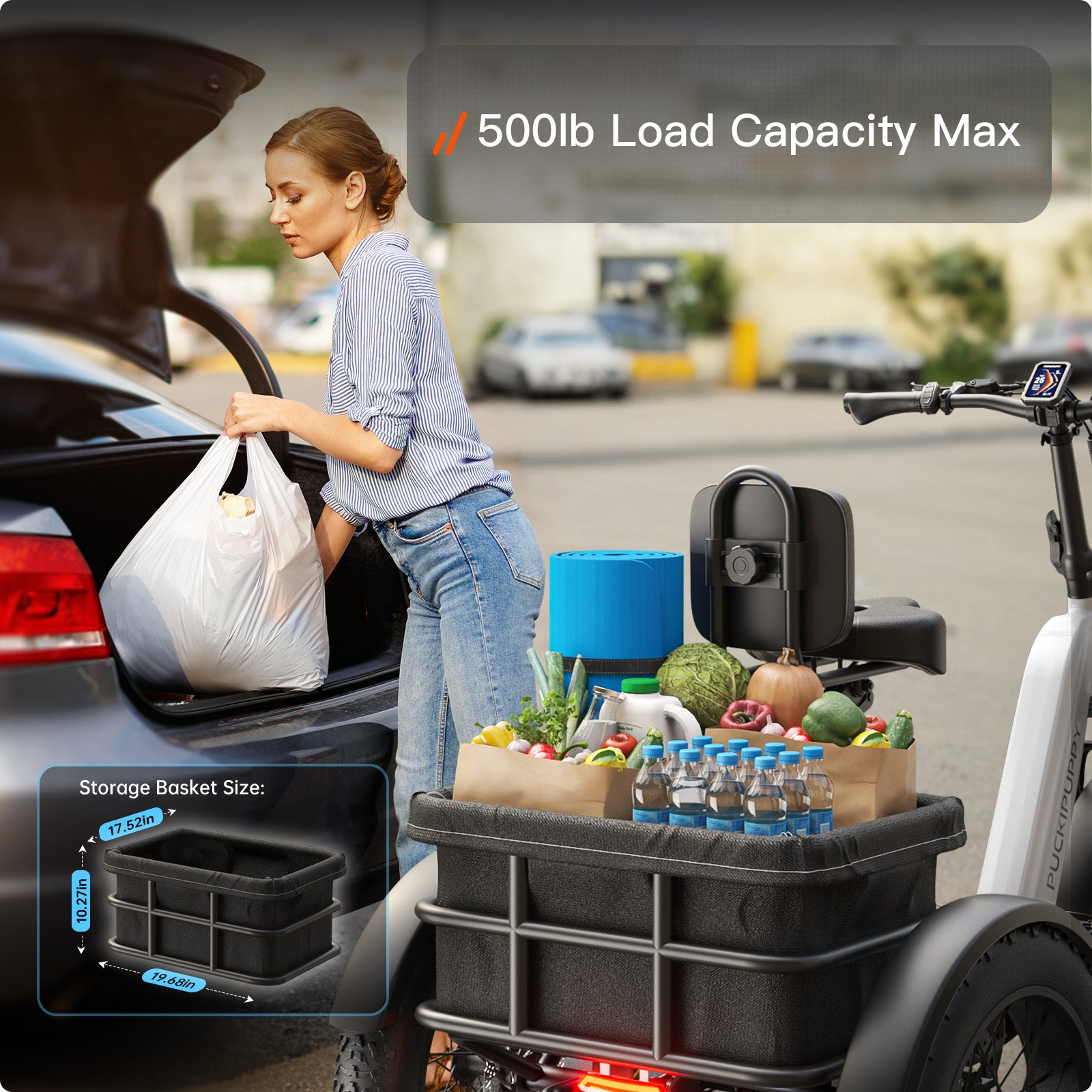 Husky| Folding Electric Trike For Adults| PUCKIPUPPY Ebikes