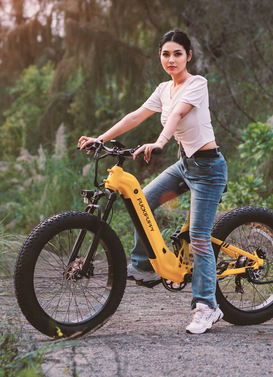 Fat Tire Electric Bike Accessories List| PUCKIPUPPY Ebikes